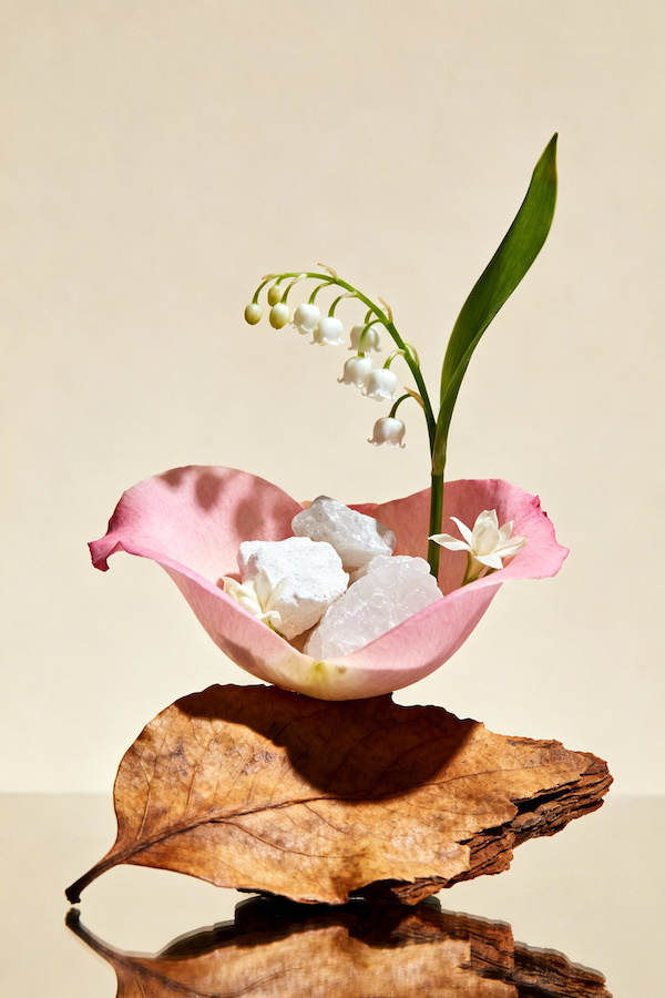 Scircle — Craft Your Own Fragrance Story